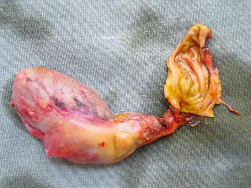 Bienvenidos - Depto. Cirugía Hospital del Salvador